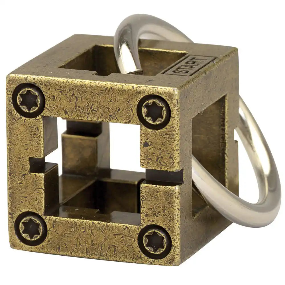 Box Cast Metal Brain Teaser – Bits and Pieces Canada